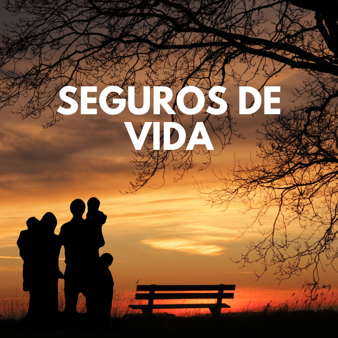 Seguros de Vida | Información | Asesoría | Cotización